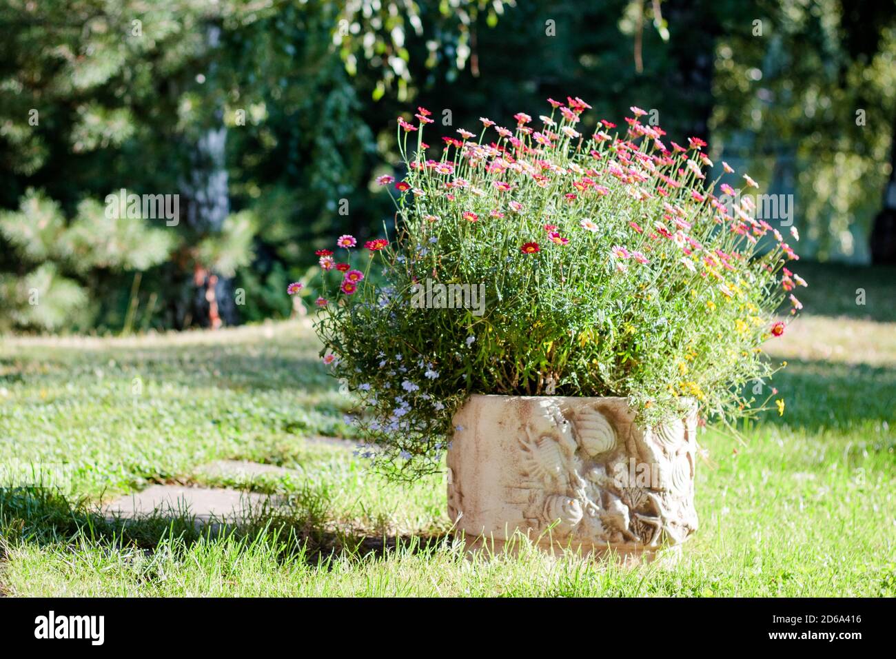 Flowerbed on flower garden as landscape design element Stock Photo - Alamy