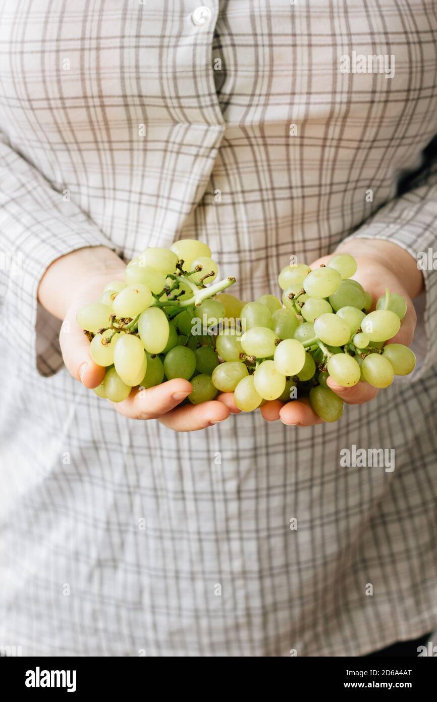Woman holding grape fruits in her hands Stock Photo - Alamy