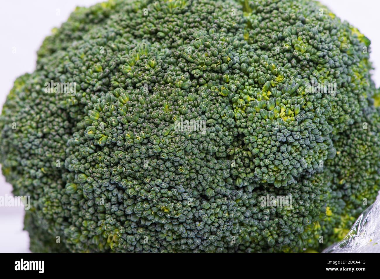 Broccoli texture hi-res stock photography and images - Alamy