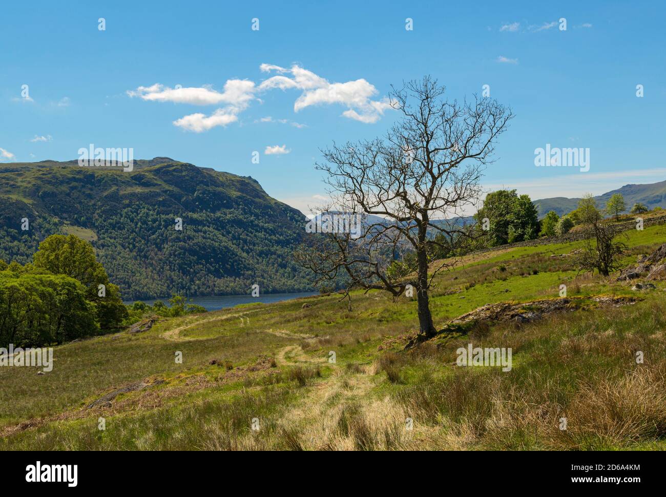 Ullswater Rural Scene Cumbria Stock Photo - Alamy
