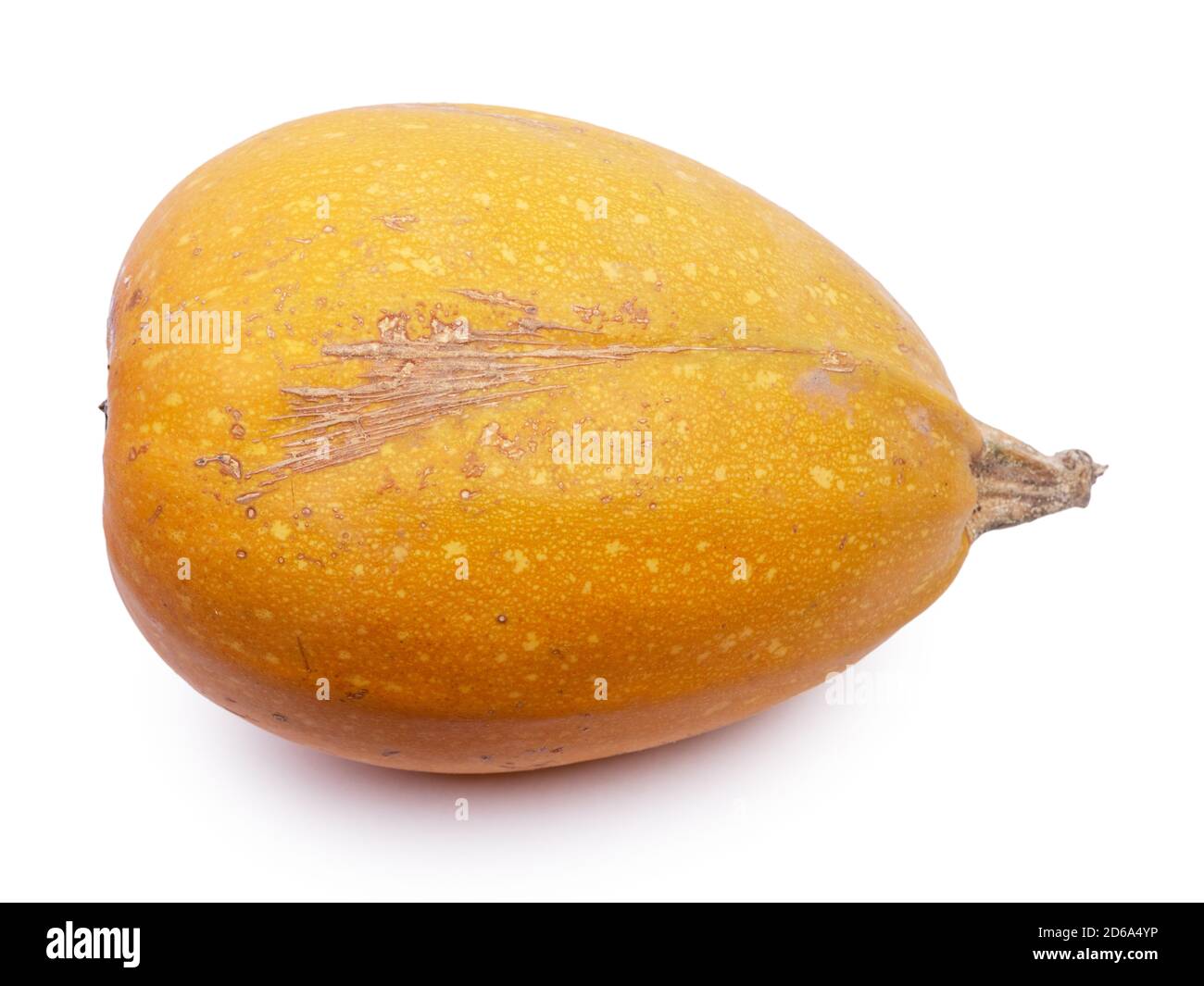 Rotten pumpkin isolated on white background Stock Photo - Alamy