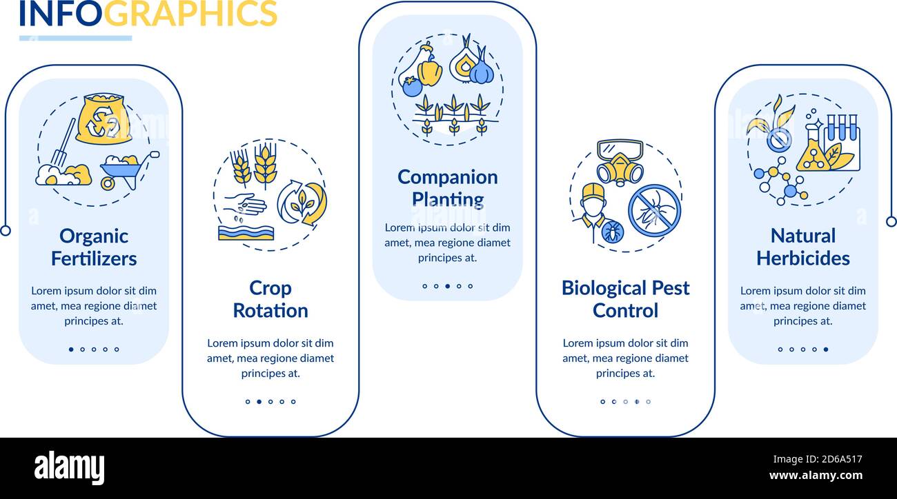 Organic farming principles vector infographic template Stock Vector ...