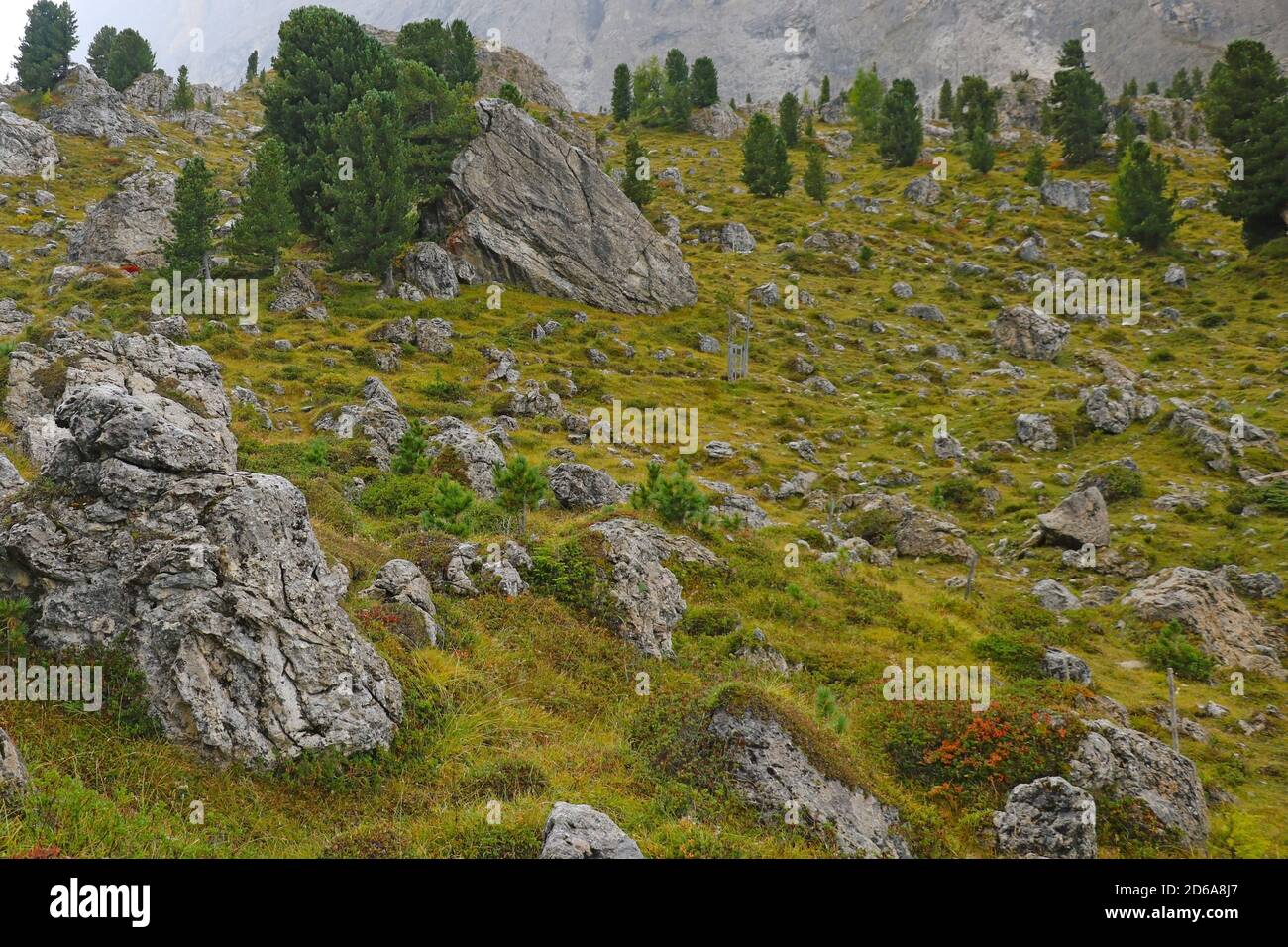 Rock small piece of rock hi-res stock photography and images - Alamy