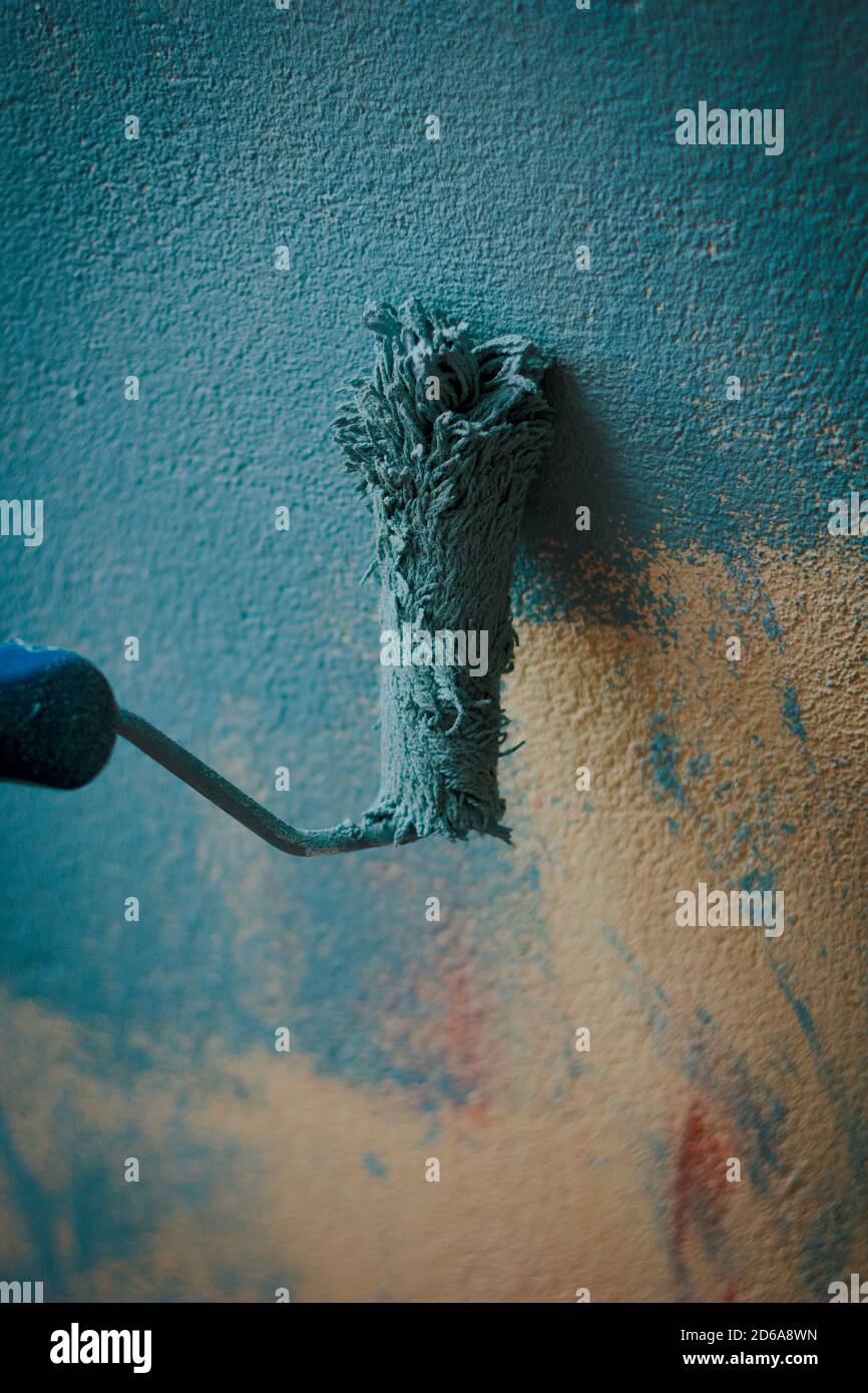 Painting wall by aqua color paints with paint roll Stock Photo - Alamy