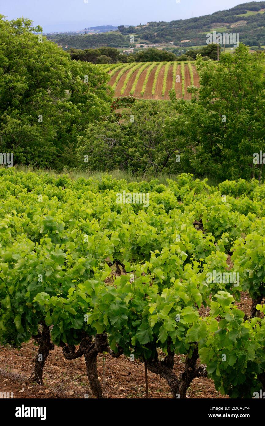 Clier hi-res stock photography and images - Alamy