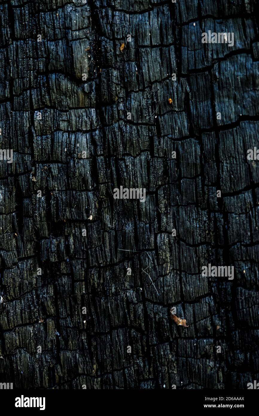 Black burnt wooden surface background. Dark ash and cinder surface ...