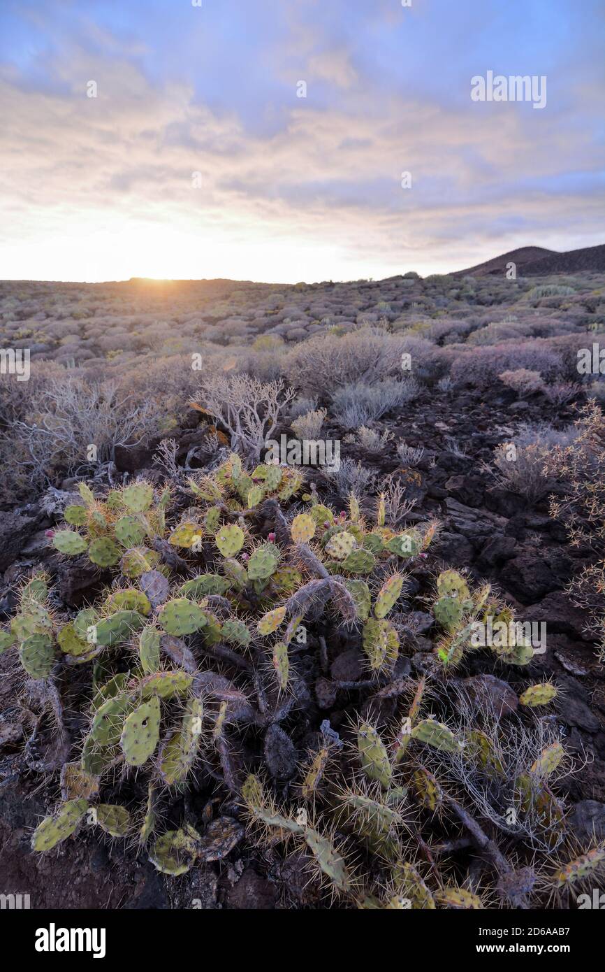 Volcan Basaltic Mountain Stock Photo - Alamy