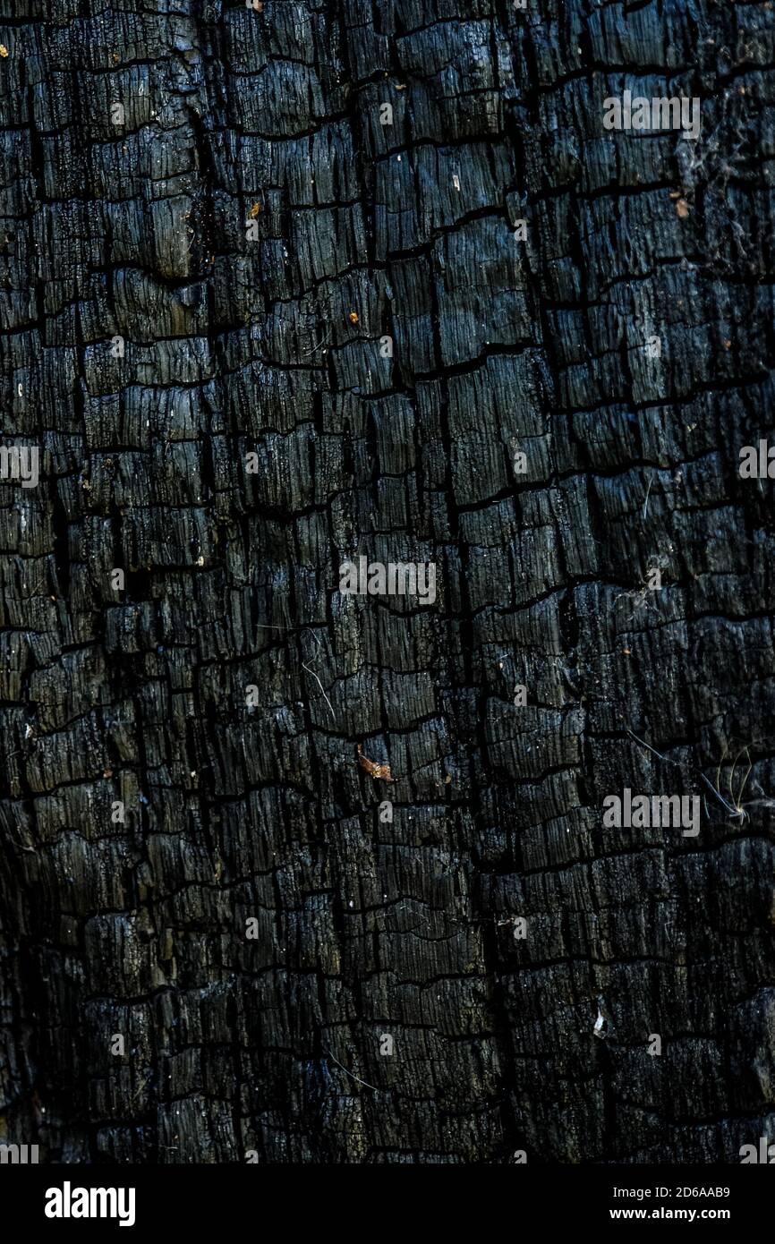 Black burnt wooden surface background. Dark ash and cinder surface ...