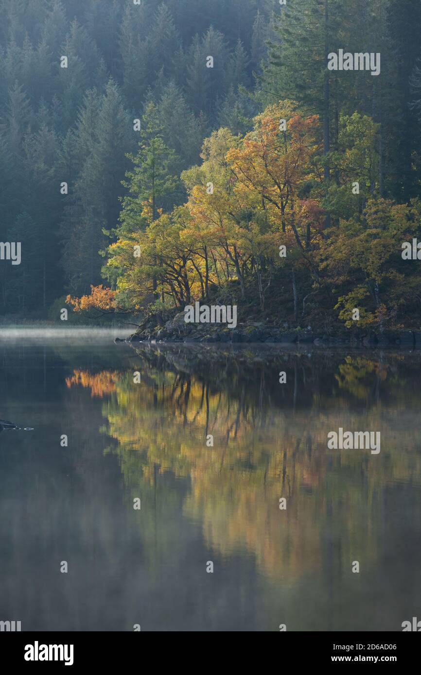 Morning view of Loch Ard Stock Photo - Alamy