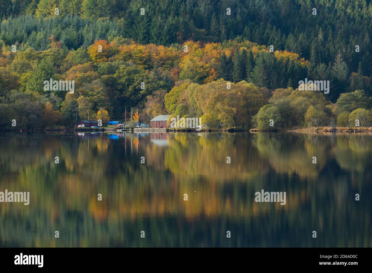 Morning view of Loch Ard Stock Photo - Alamy