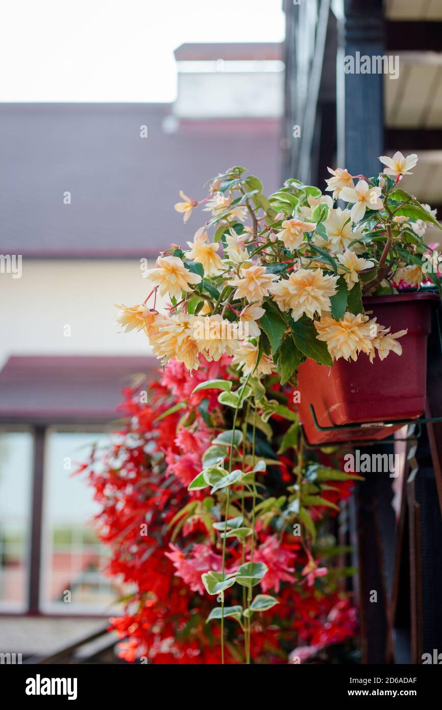 Ampel design hi-res stock photography and images - Alamy
