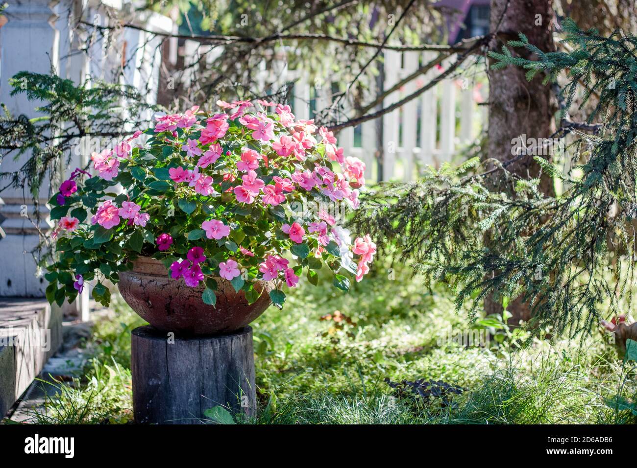 Flowerbed on flower garden as landscape design element Stock Photo - Alamy