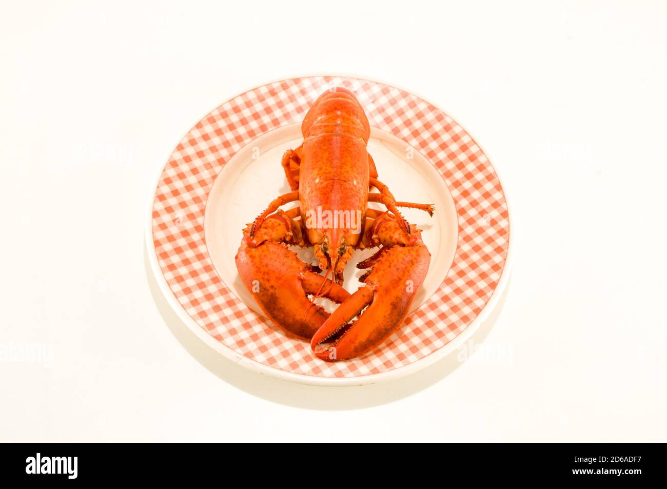 Delicious freshly steamed lobster Stock Photo - Alamy