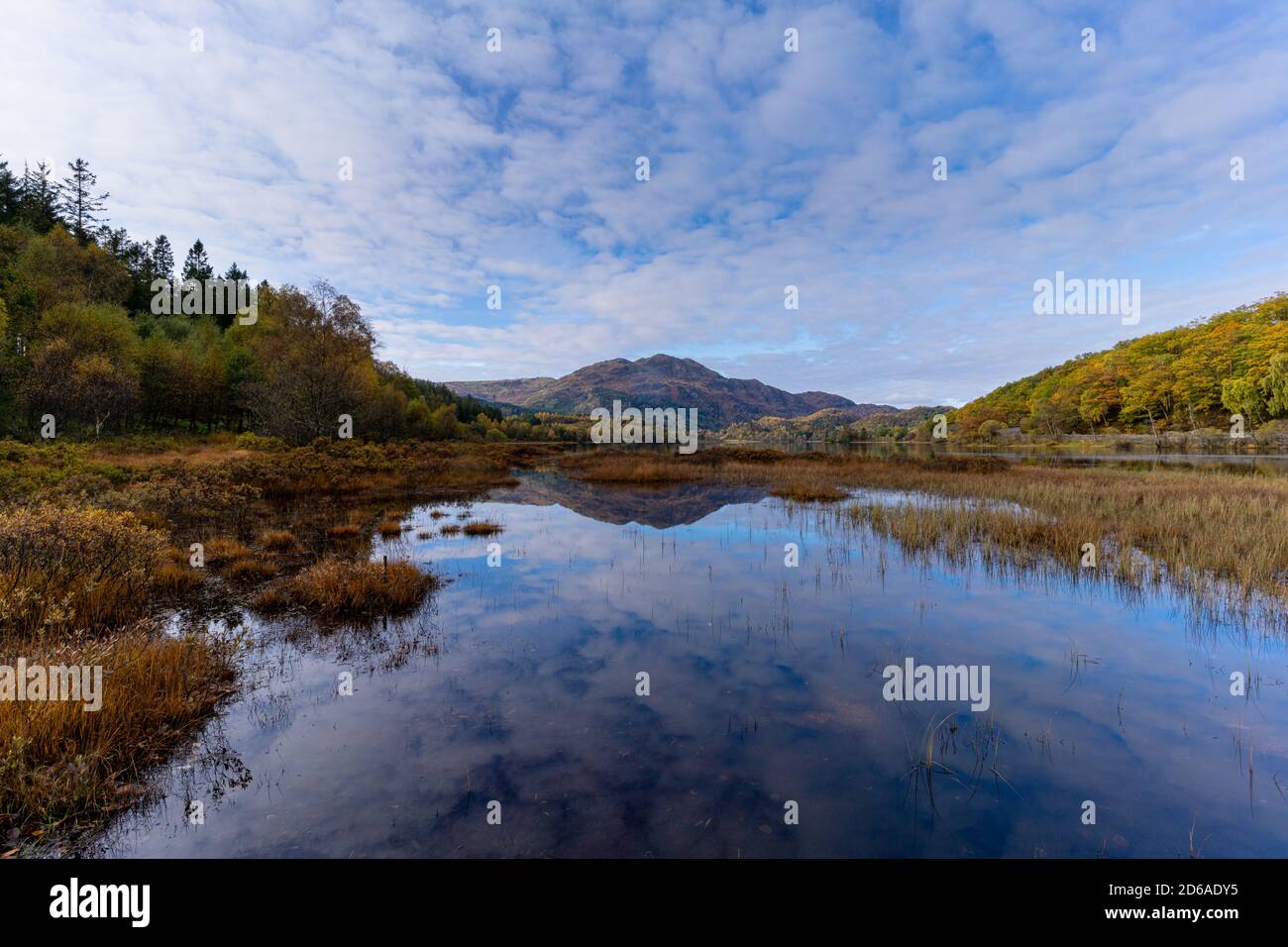 Loch Achray, The Trossachs, Scotland Stock Photo - Alamy