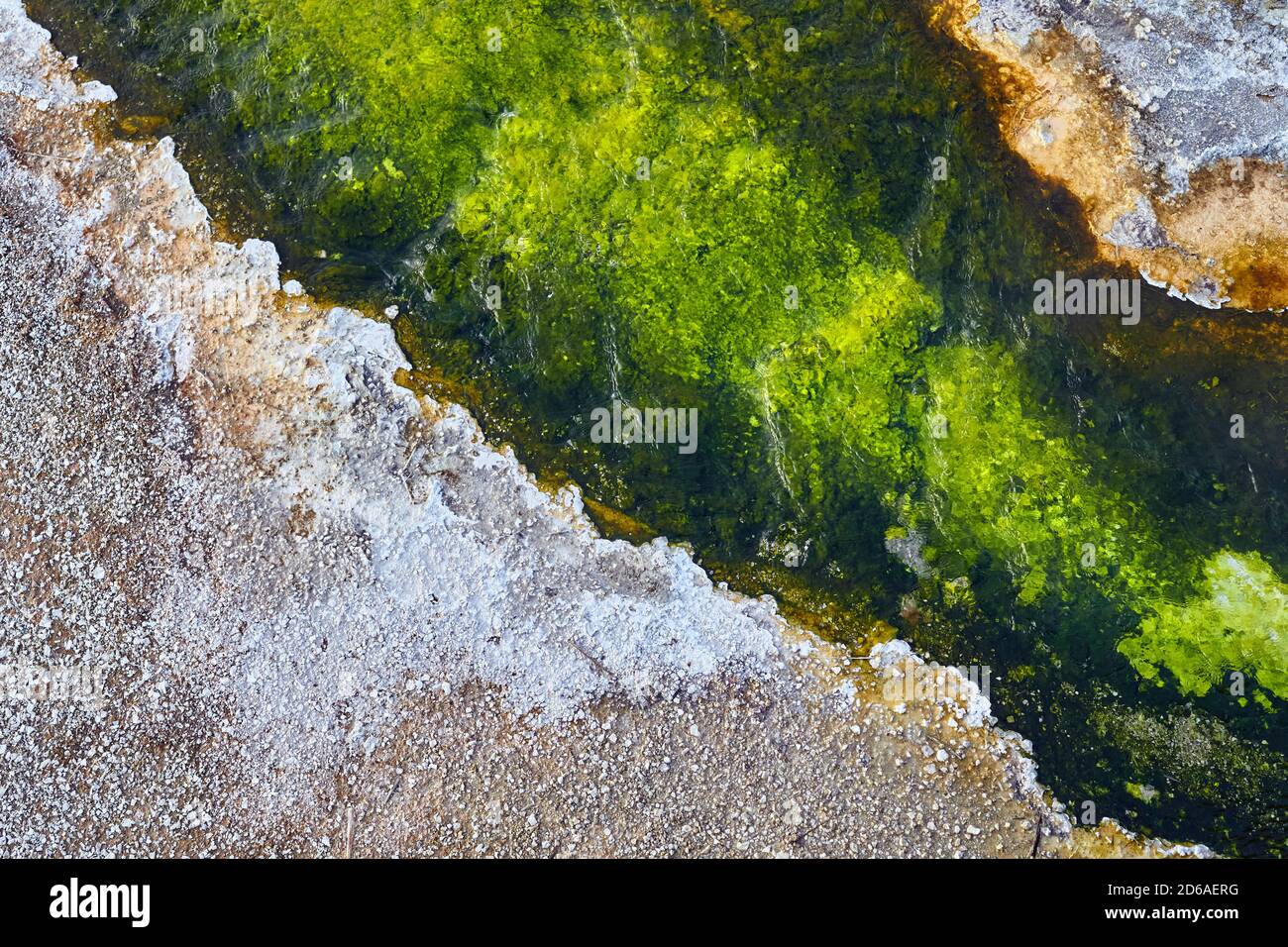 Close up picture of a hot spring edge in Yellowstone National Park ...