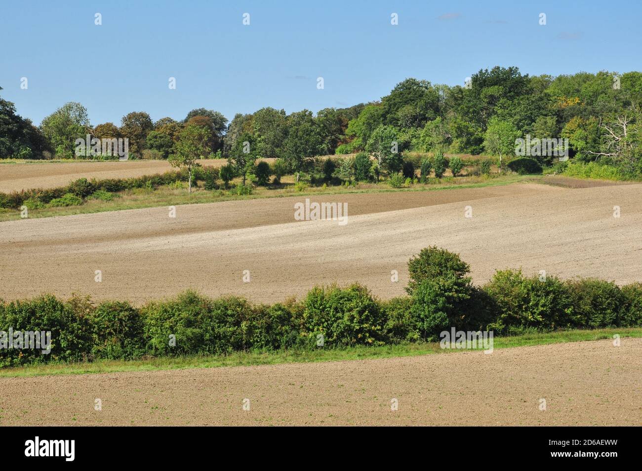 English countryside hedgerows hi-res stock photography and images - Alamy