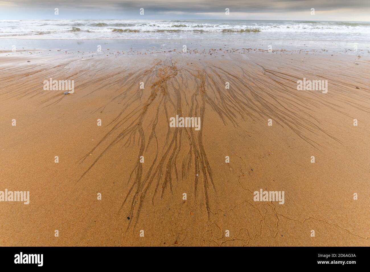 Sandy beach on the Atlantic coast in France. Gold seabed texture Stock ...