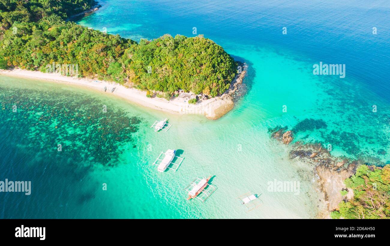 Mesmerizing shot beach trees hi-res stock photography and images - Alamy