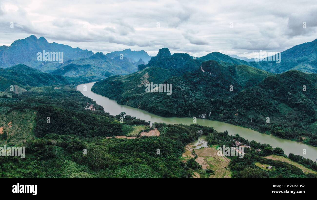 Mesmerizing shot high trees hi-res stock photography and images - Alamy