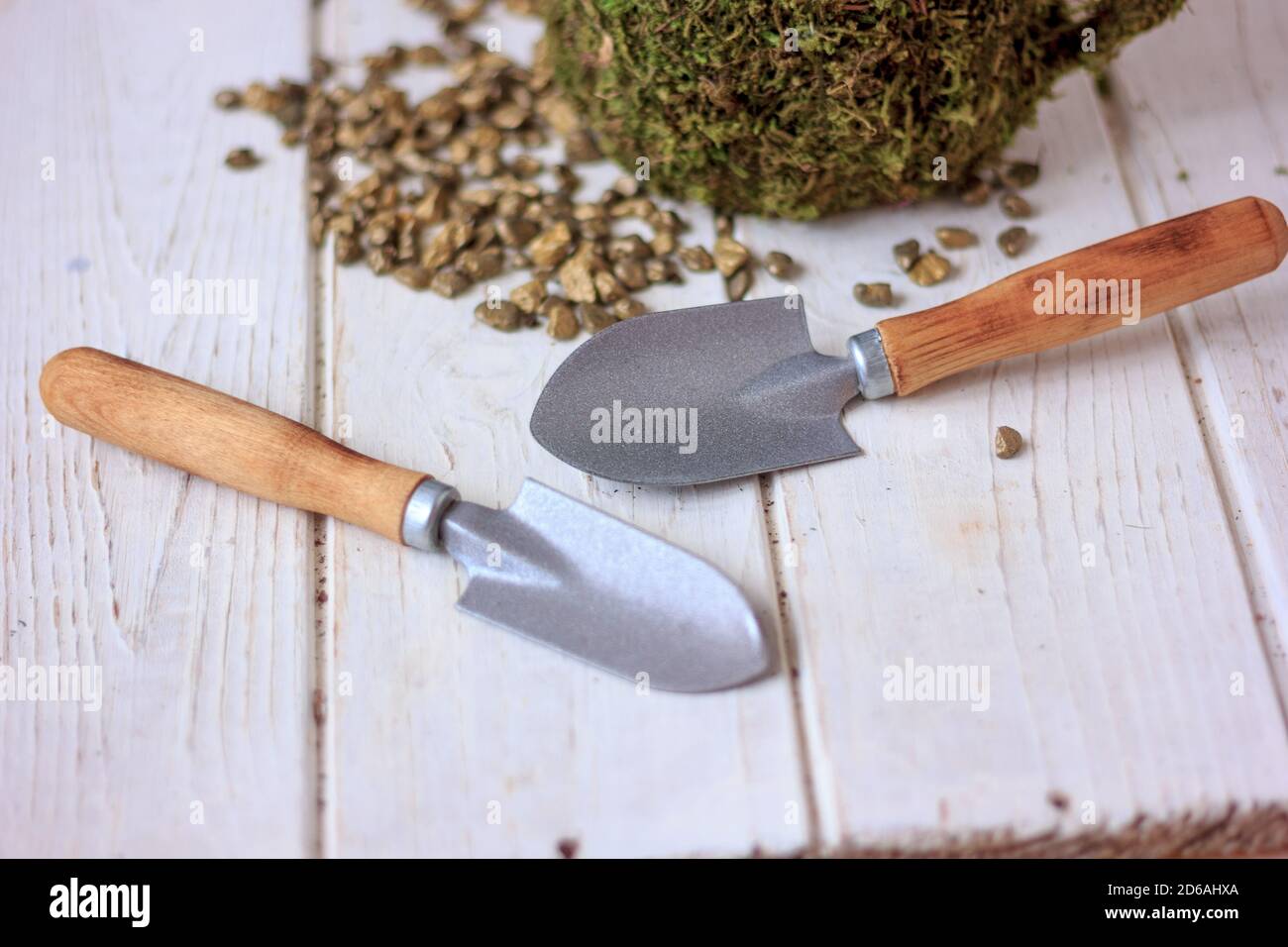 House planting equipment - small shovel an pot with plant Stock Photo ...