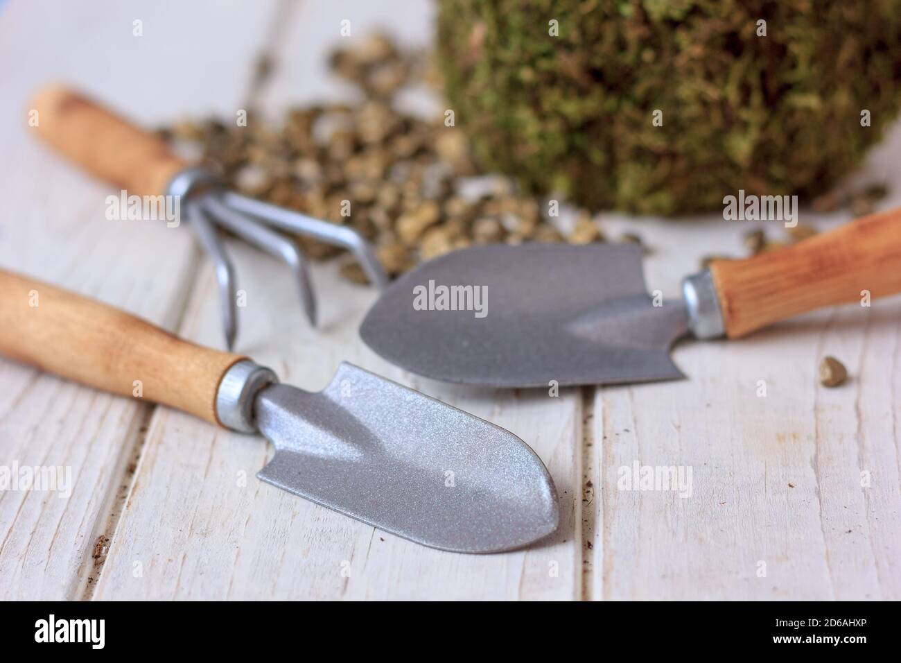 House planting equipment - small shovel an pot with plant Stock Photo ...