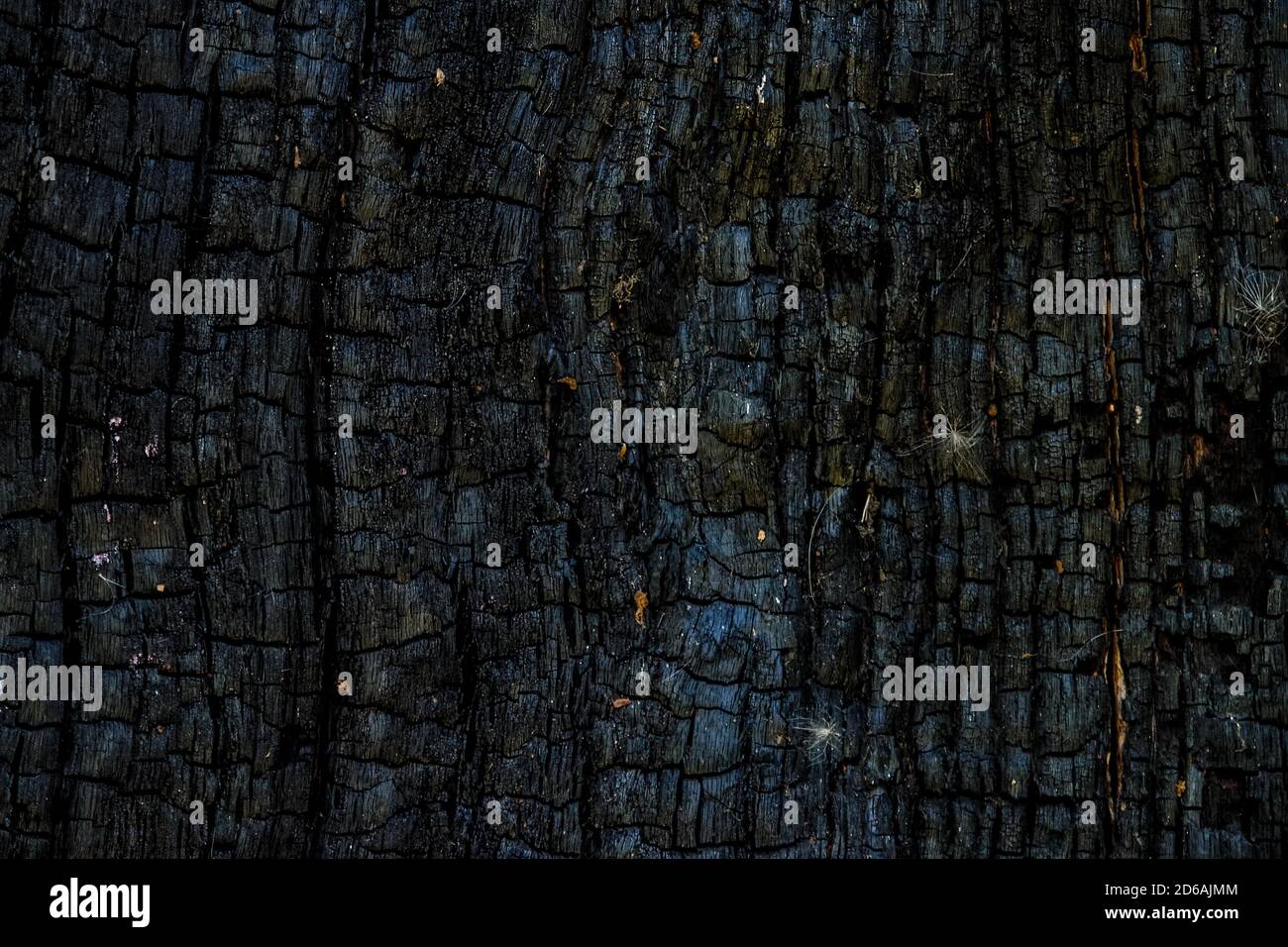 Black burnt wooden surface background. Dark ash and cinder surface ...
