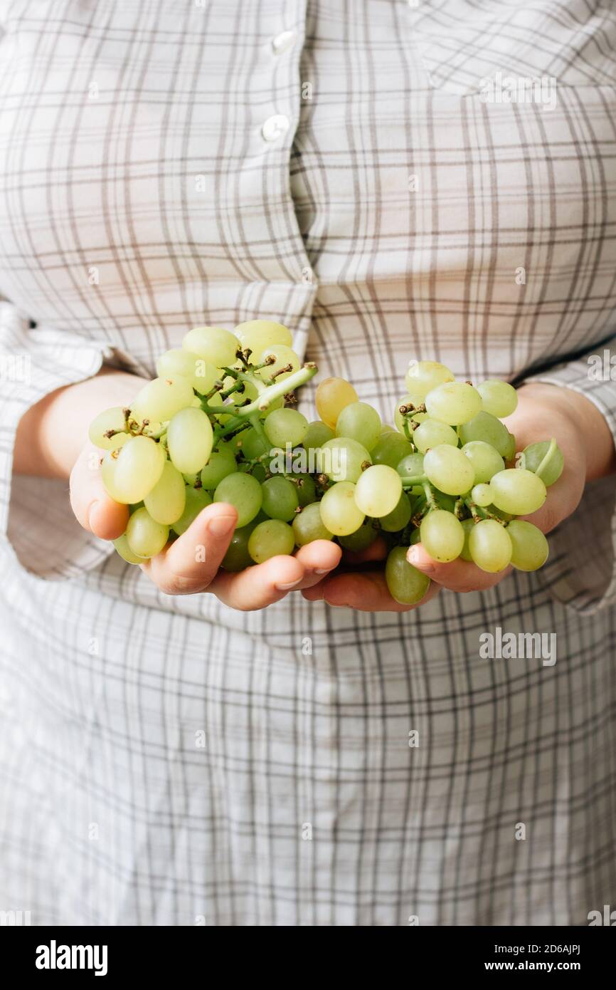Woman holding grape fruits in her hands Stock Photo - Alamy
