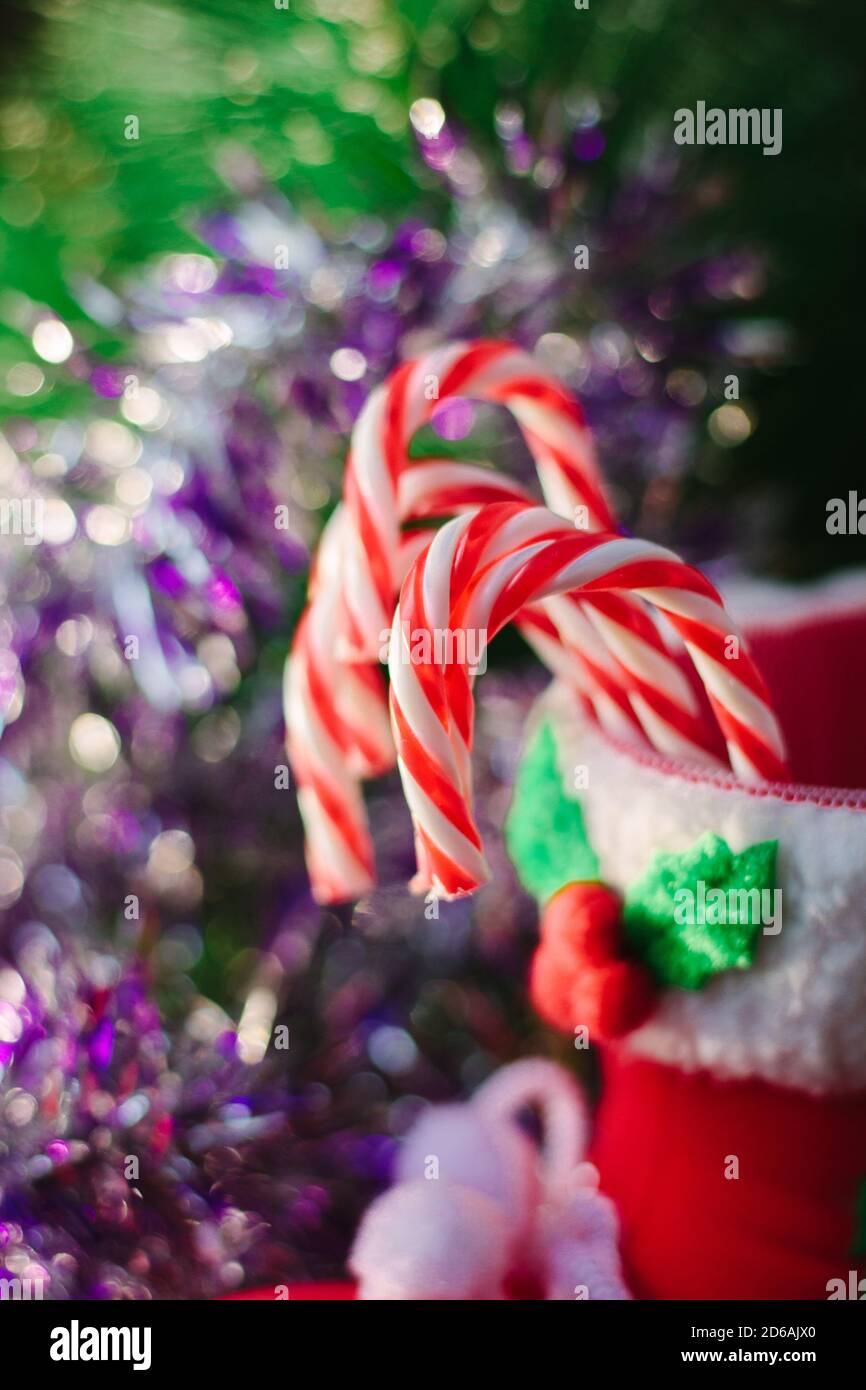 Mini candycane hi-res stock photography and images - Alamy