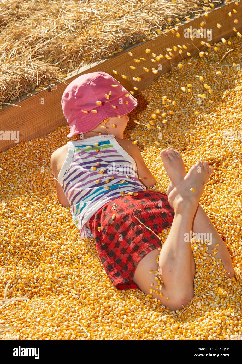 girl playing in corn box at county fair Stock Photo - Alamy