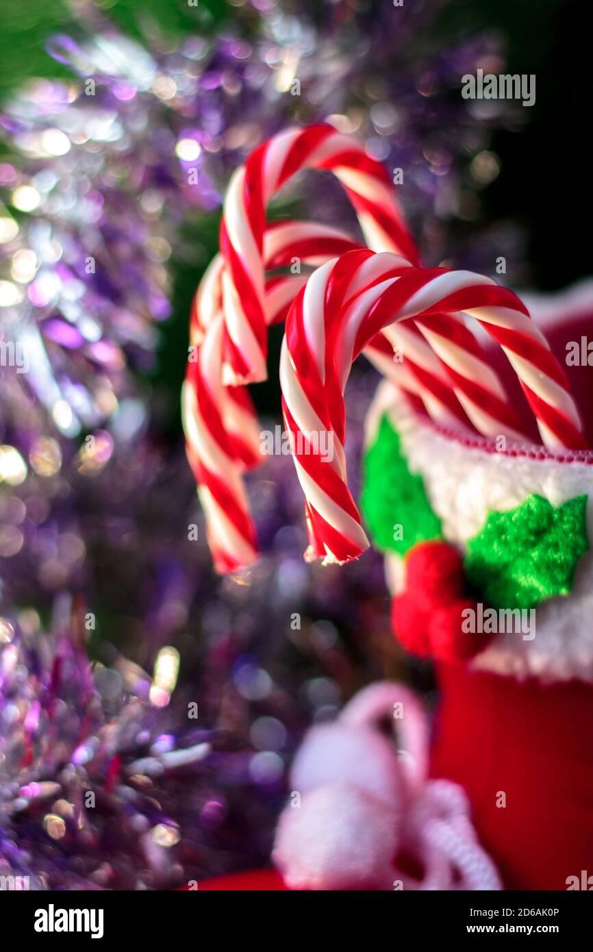 Beautiful christmas candy canes as christmas background Stock Photo - Alamy