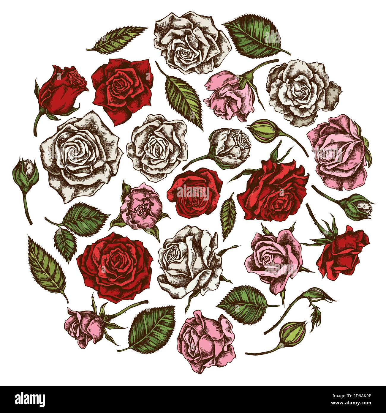 Round floral design with colored roses Stock Vector Image & Art - Alamy