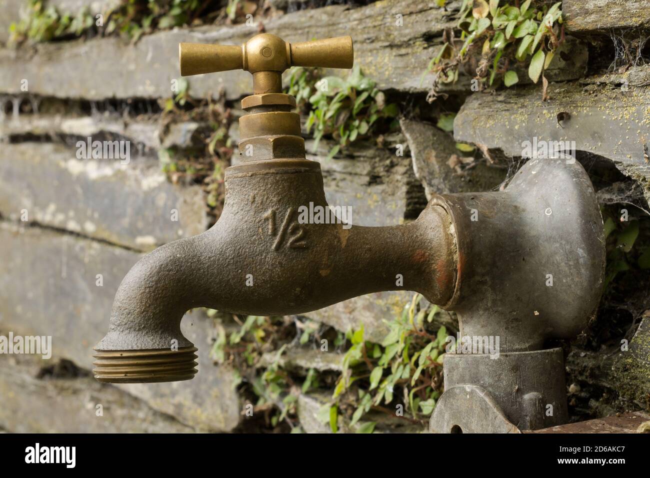 Garden water tap hi-res stock photography and images - Alamy