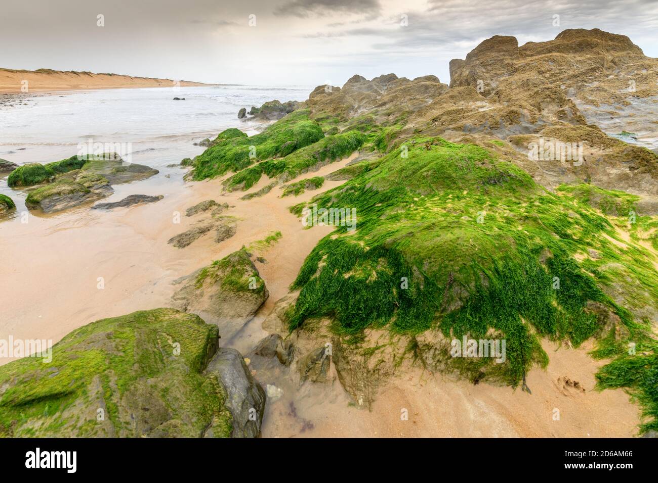 Rocks at low tide on the French Atlantic coast in France Stock Photo ...