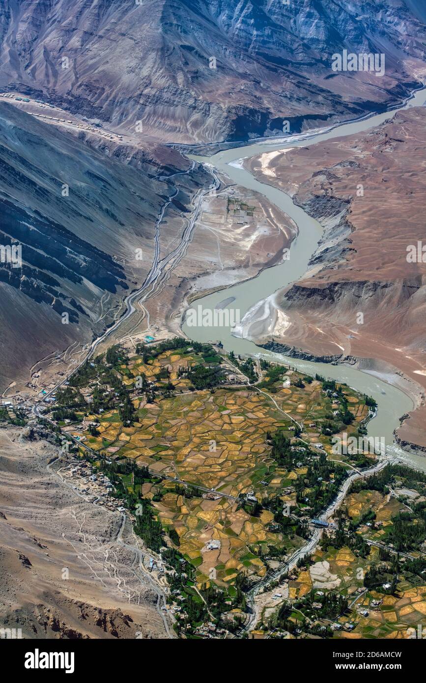 Mountain village in Ladakh, small white houses among fields of ripe ...