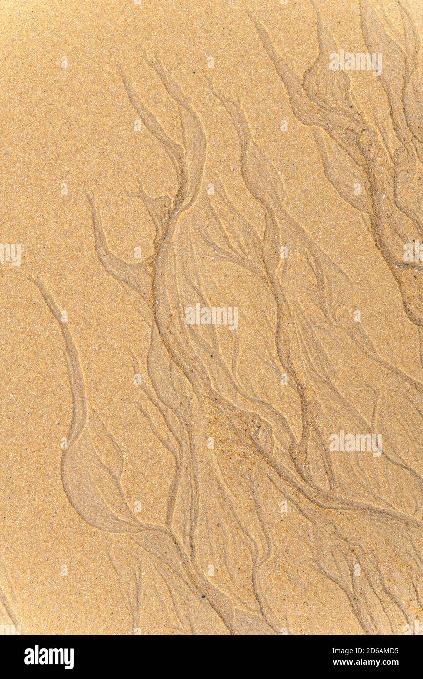 Texture of sand on a beach in the Atlantic Ocean in France Stock Photo ...