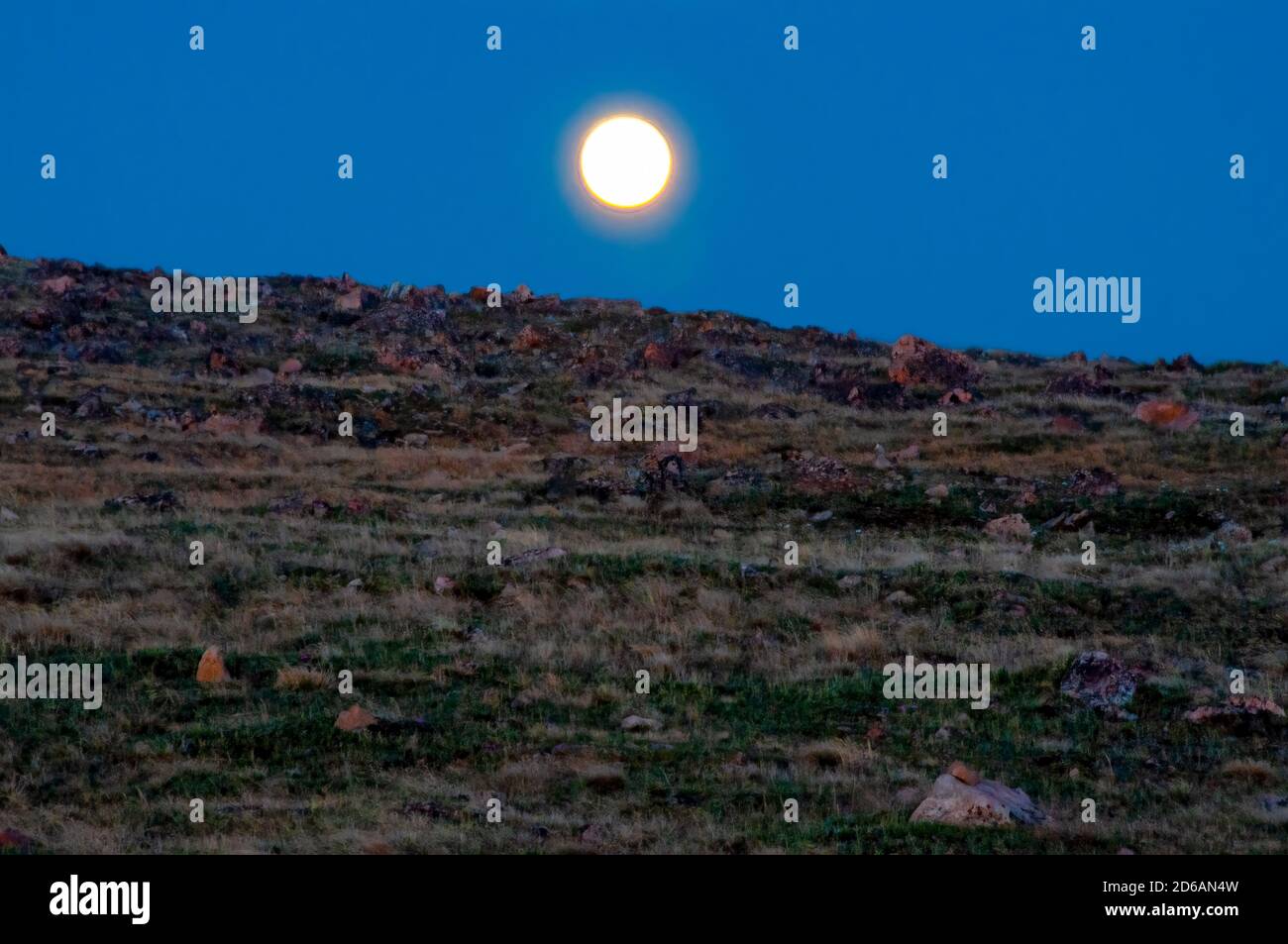 Full moon over the tundra at the highest peak on Beartooth mountains ...