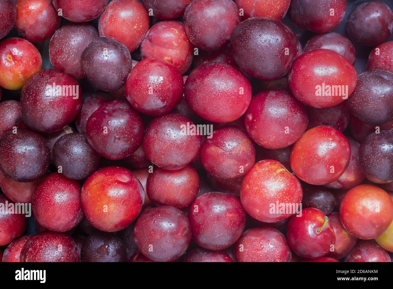Harvest of red ripe plums, background image Stock Photo - Alamy