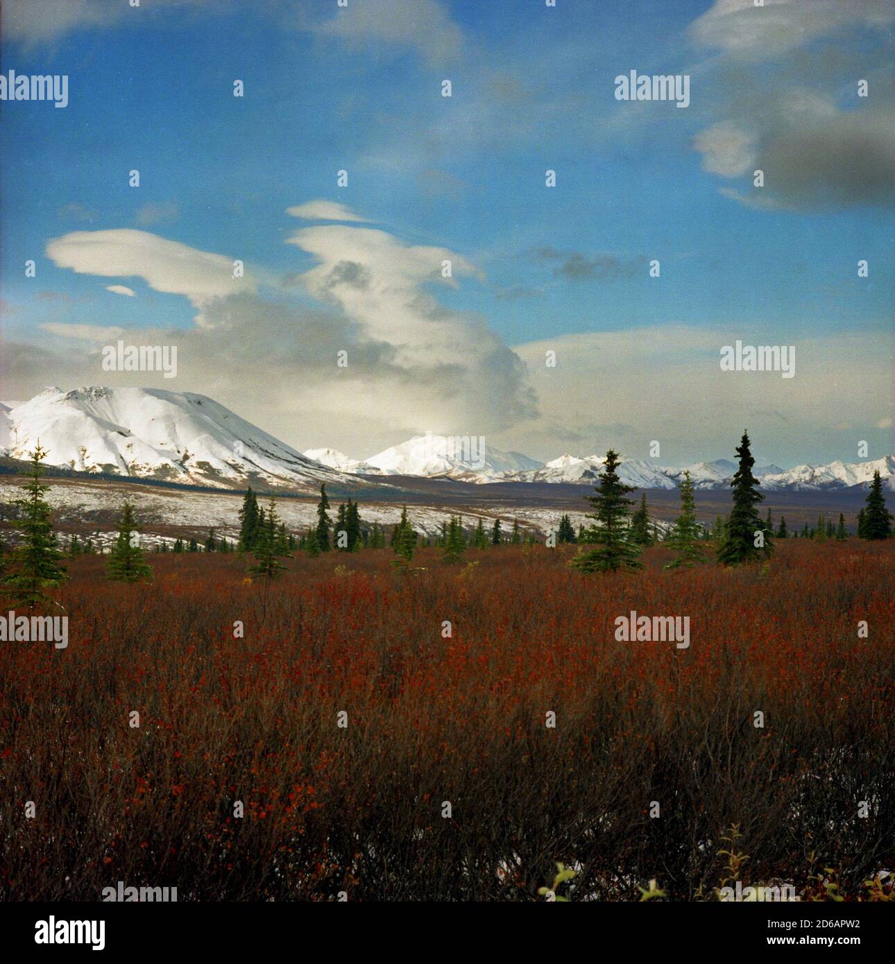 Denali massif hi-res stock photography and images - Alamy