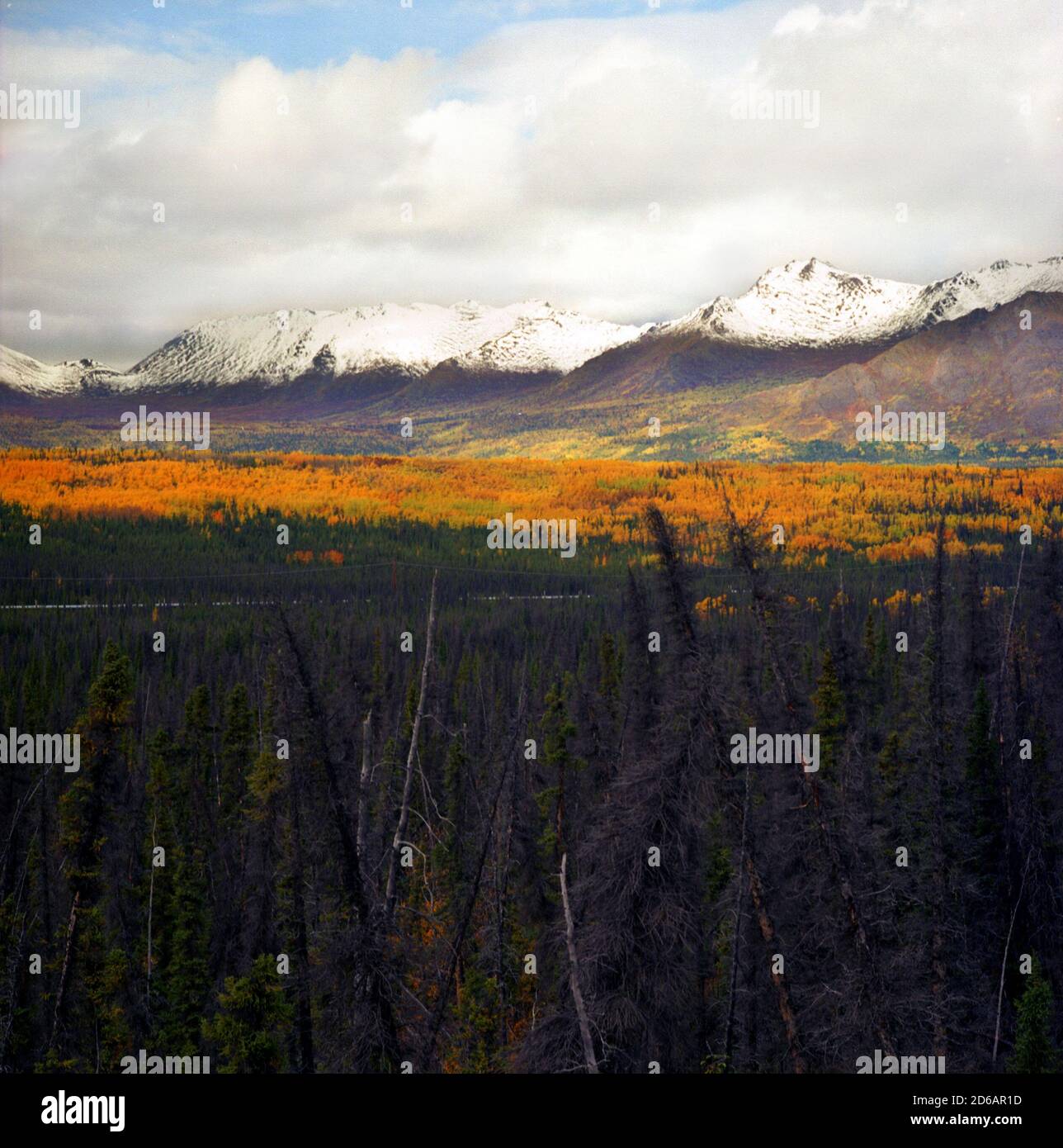 Simpson plain hi-res stock photography and images - Alamy