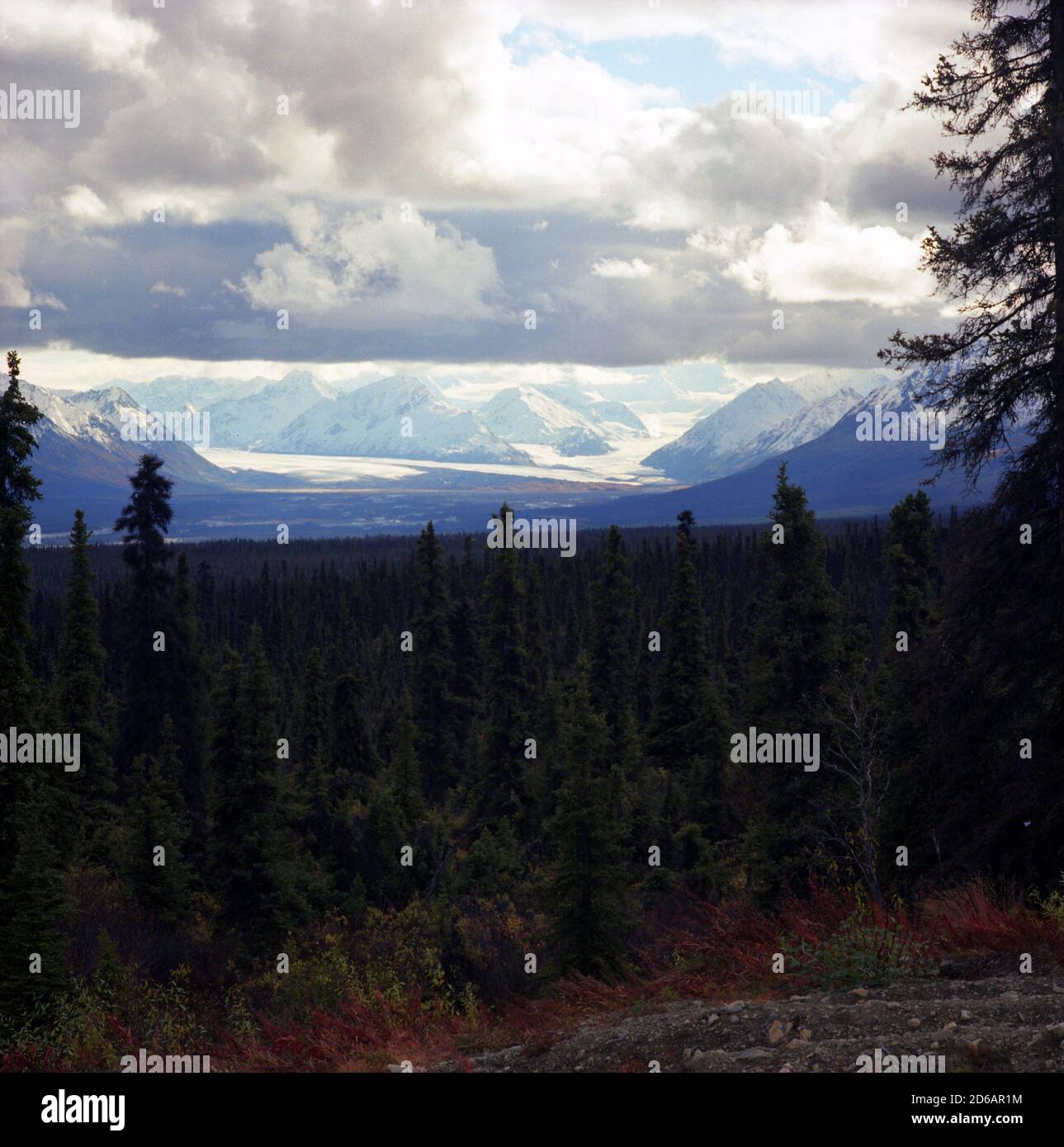 Nelchina hi-res stock photography and images - Alamy