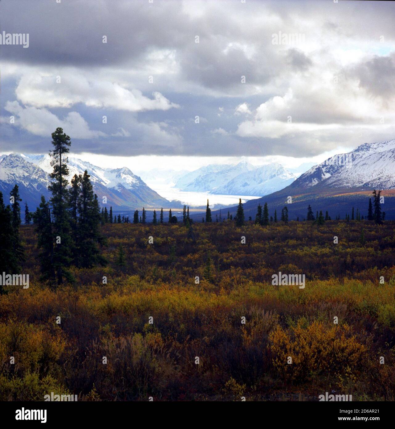 Nelchina hi-res stock photography and images - Alamy