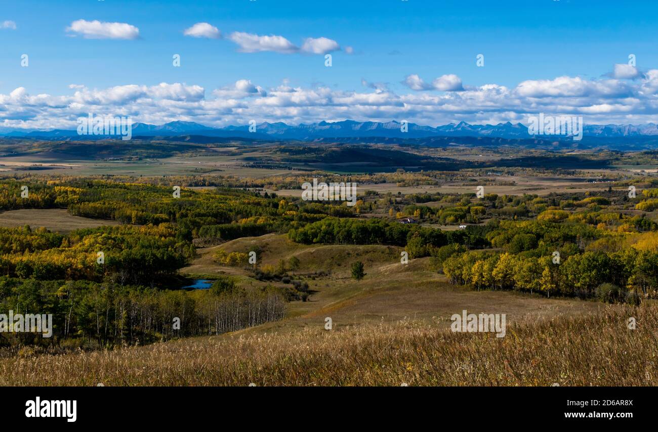 Ranching alberta hi-res stock photography and images - Alamy