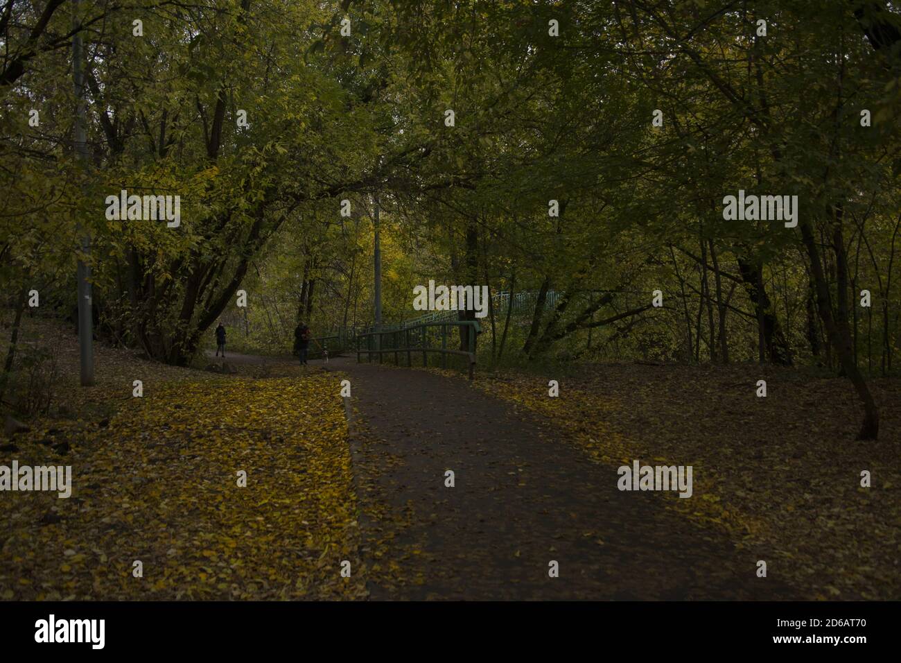 Mozhaisk High Resolution Stock Photography and Images - Alamy