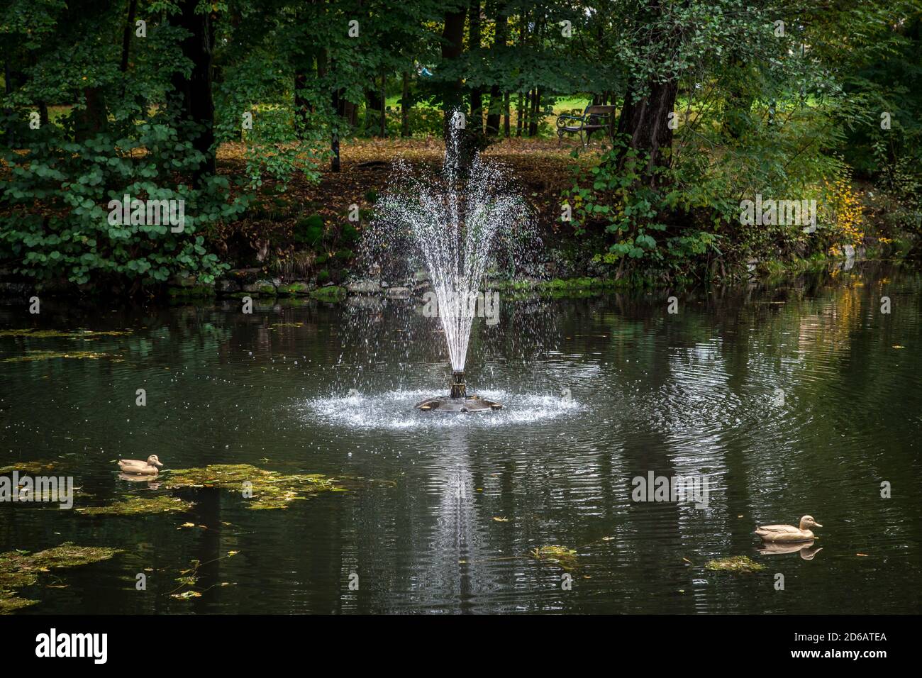 Palace pond, grounds of the castle Gmünd, Waldviertel, Austria Stock ...