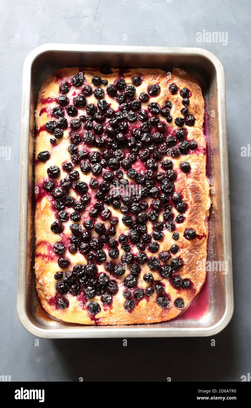 Homemade "Schiacciata all'uva", typical Tuscan sweet focaccia with bread dough, olive oil, sugar ...