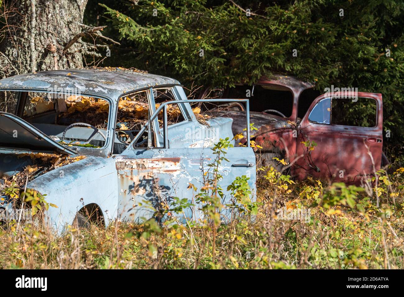 Car cemetery during autumn in Sweden Stock Photo - Alamy