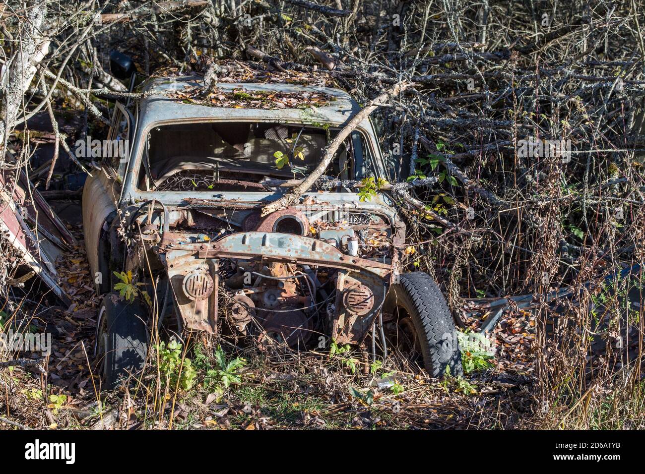 Car cemetery during autumn hi-res stock photography and images - Alamy