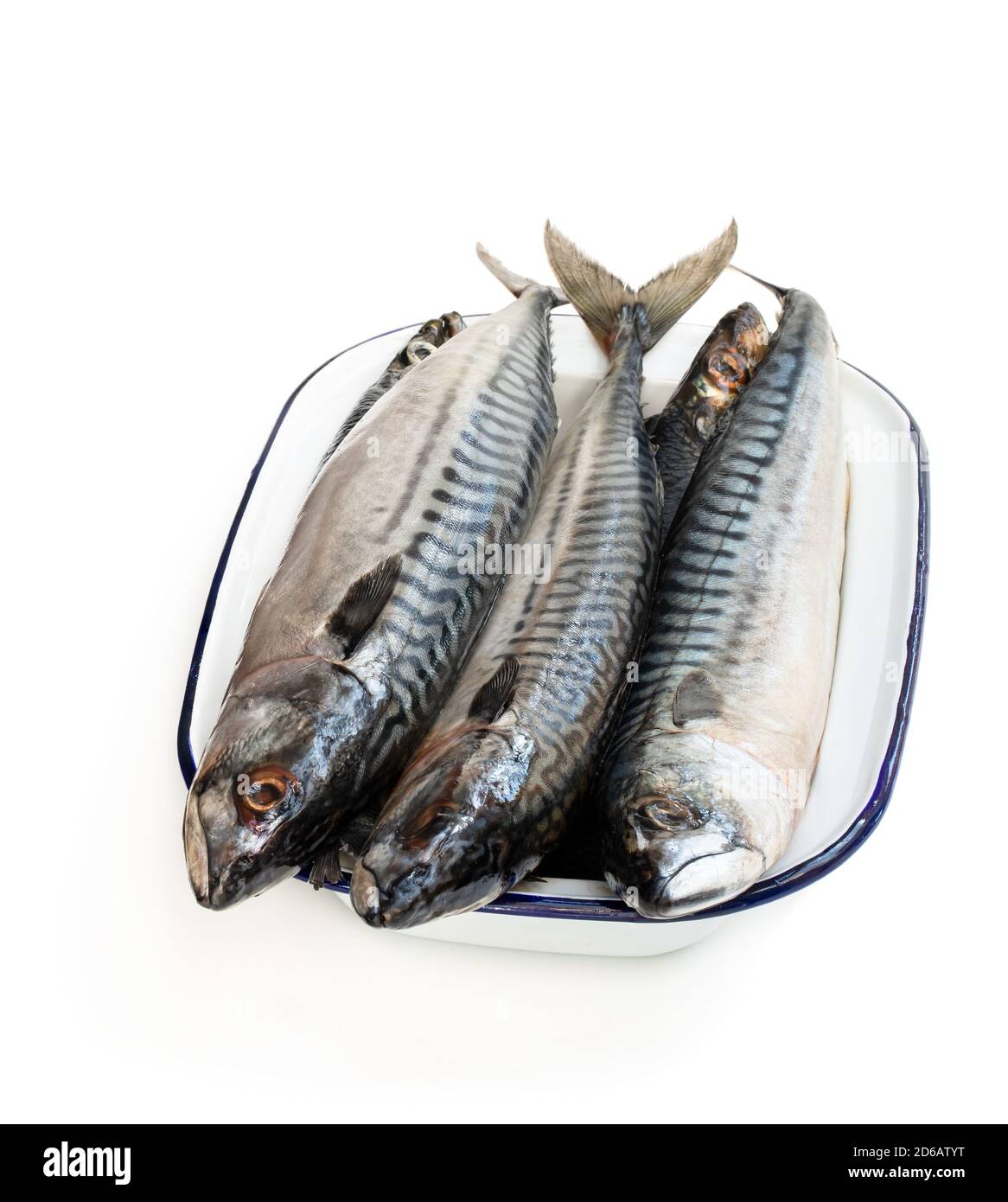 Raw mackerel fish on enameled bowl isolated on a white Stock Photo - Alamy