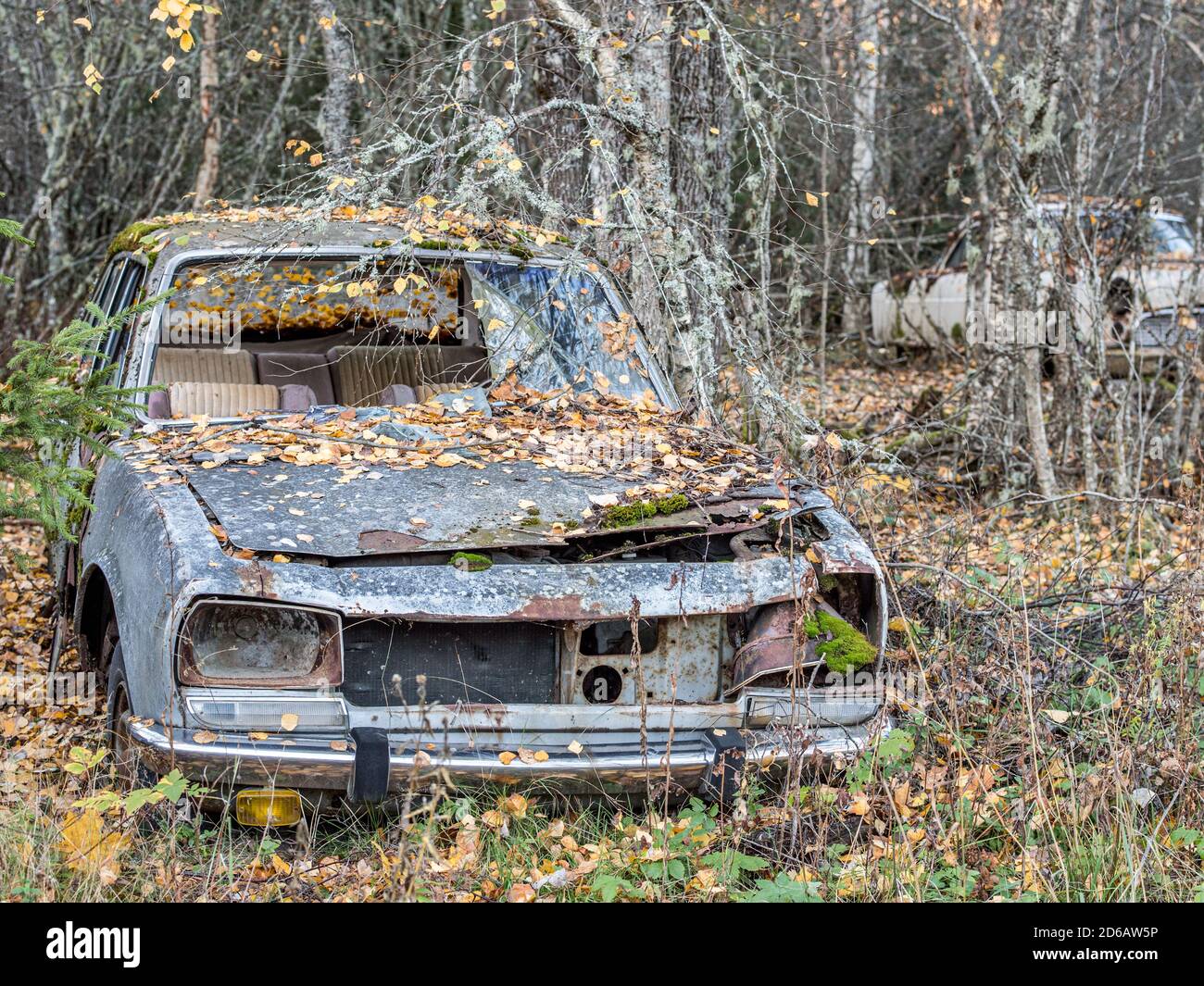 Car cemetery during autumn in Sweden Stock Photo - Alamy