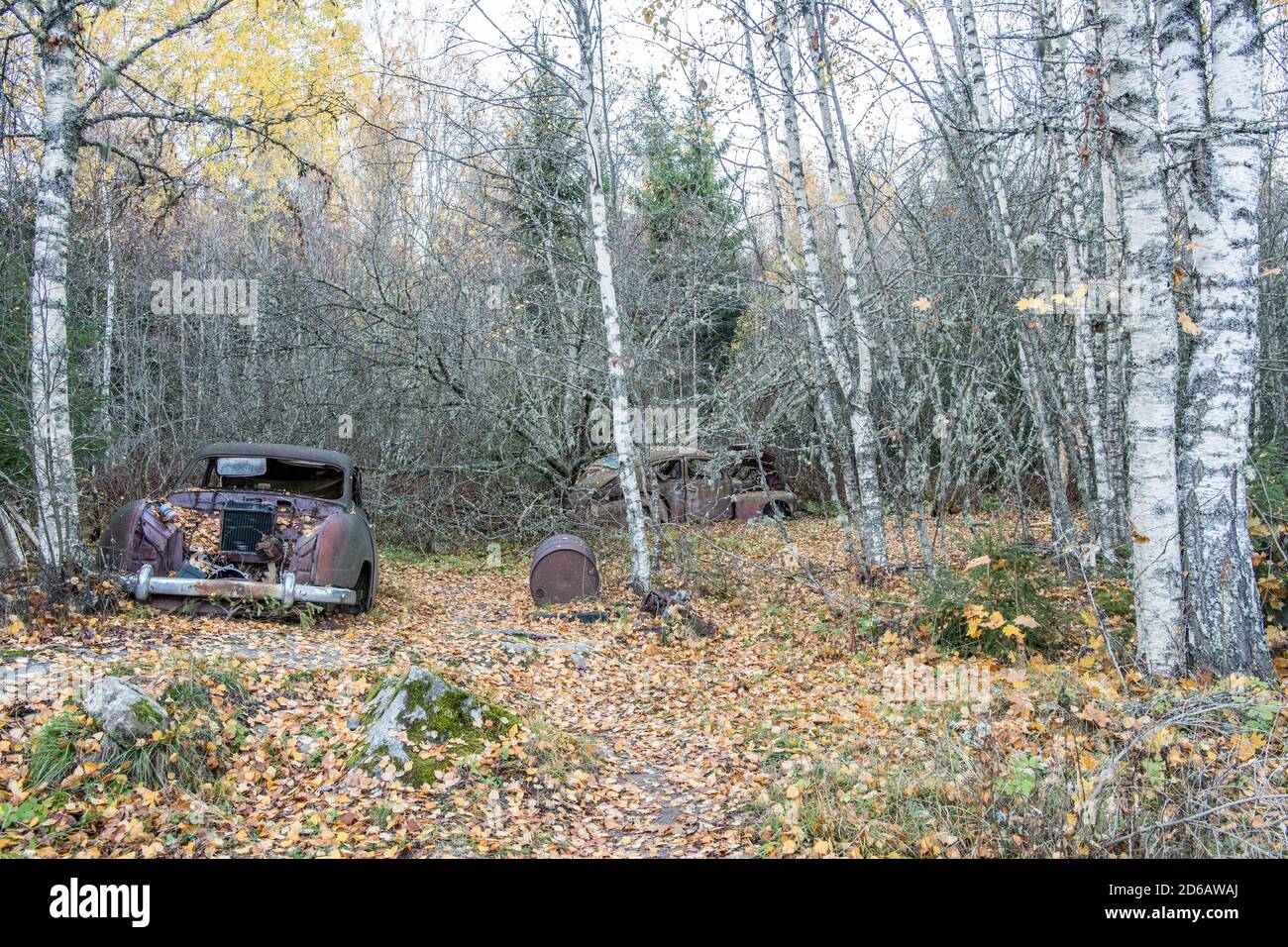 Car cemetery during autumn hi-res stock photography and images - Alamy